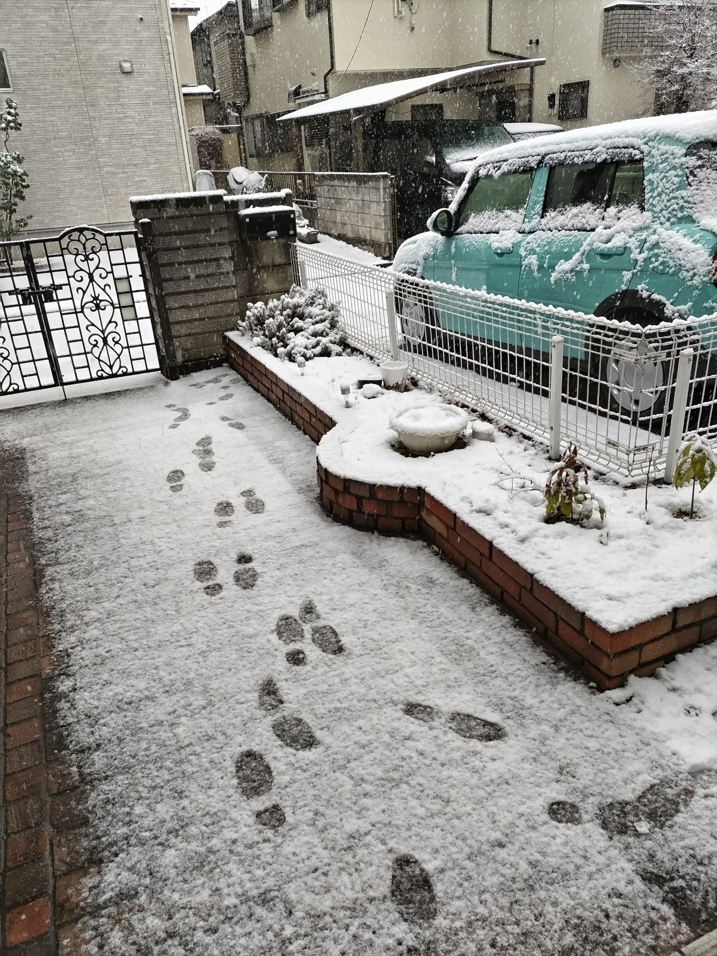 ちょっと汚い話・・・: サバブログ「ちろ＆あい」