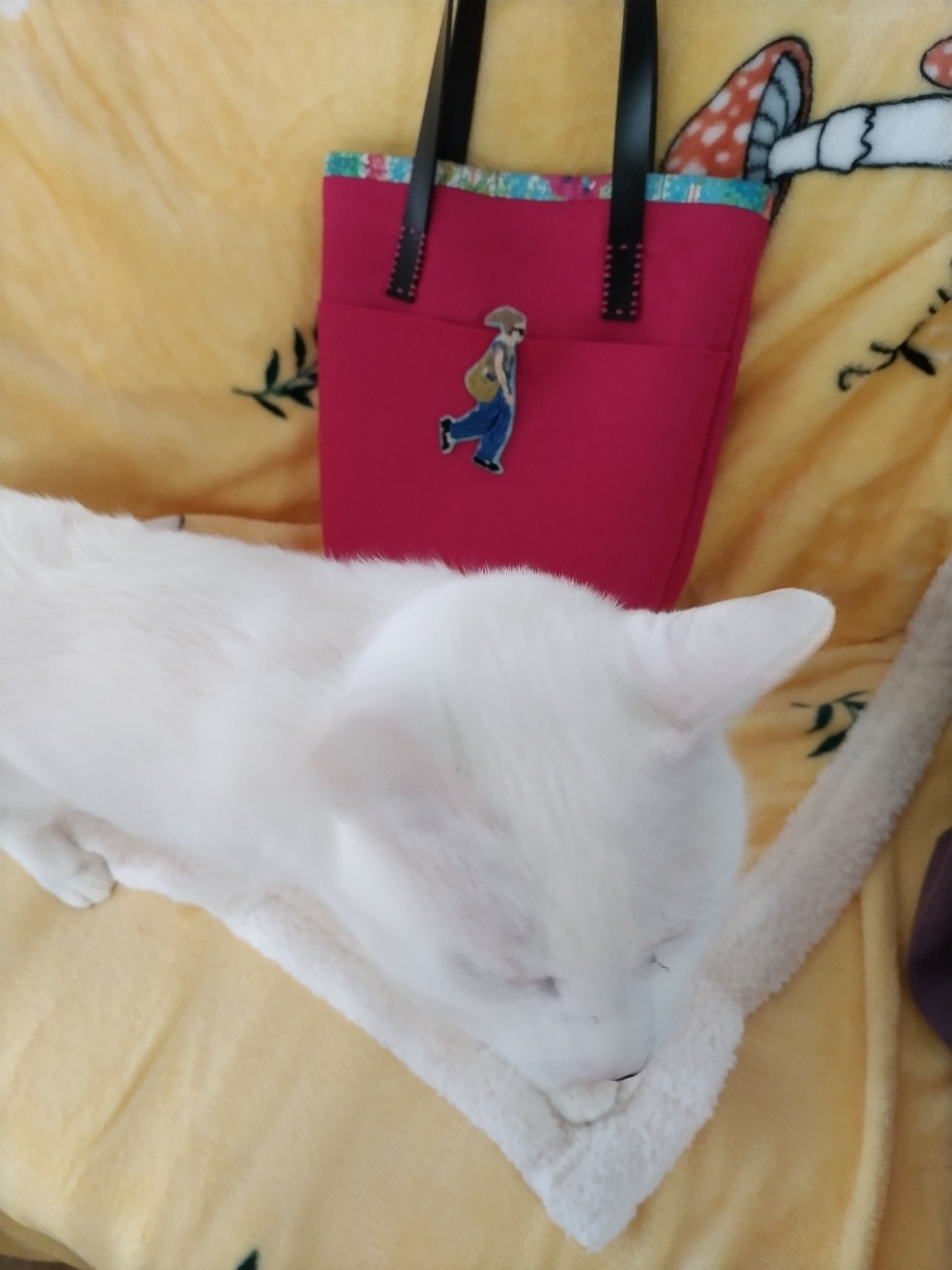 少しお花見～～: サバブログ「ちろ＆あい」