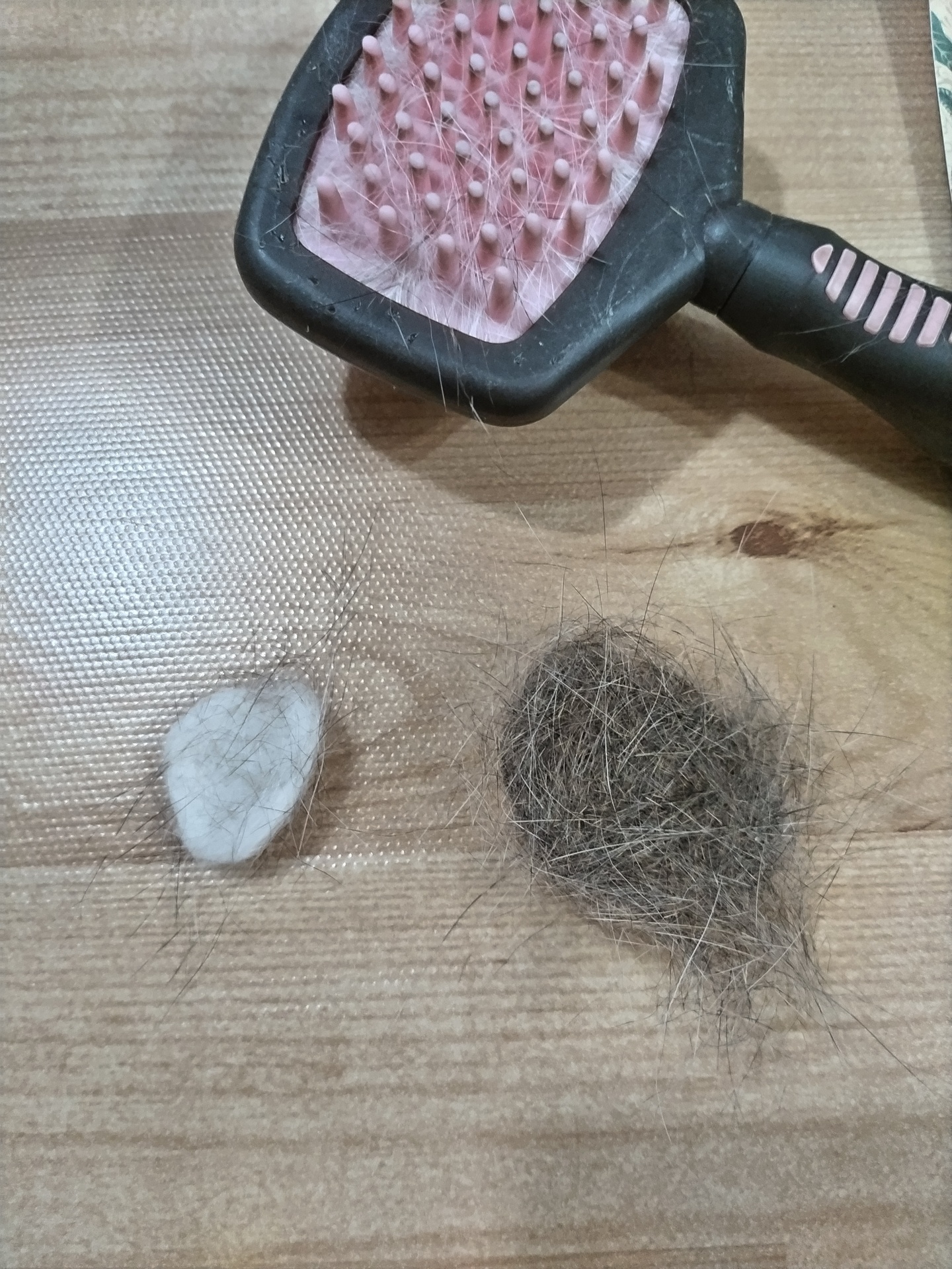 4月も終わり・・・: サバブログ「ちろ＆あい」