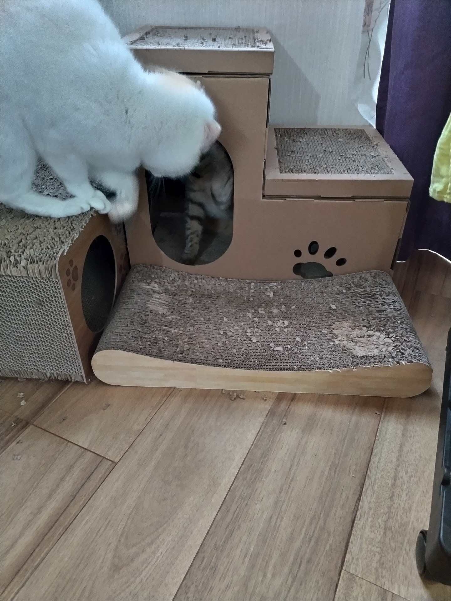 片付け～片付け～～: サバブログ「ちろ＆あい」