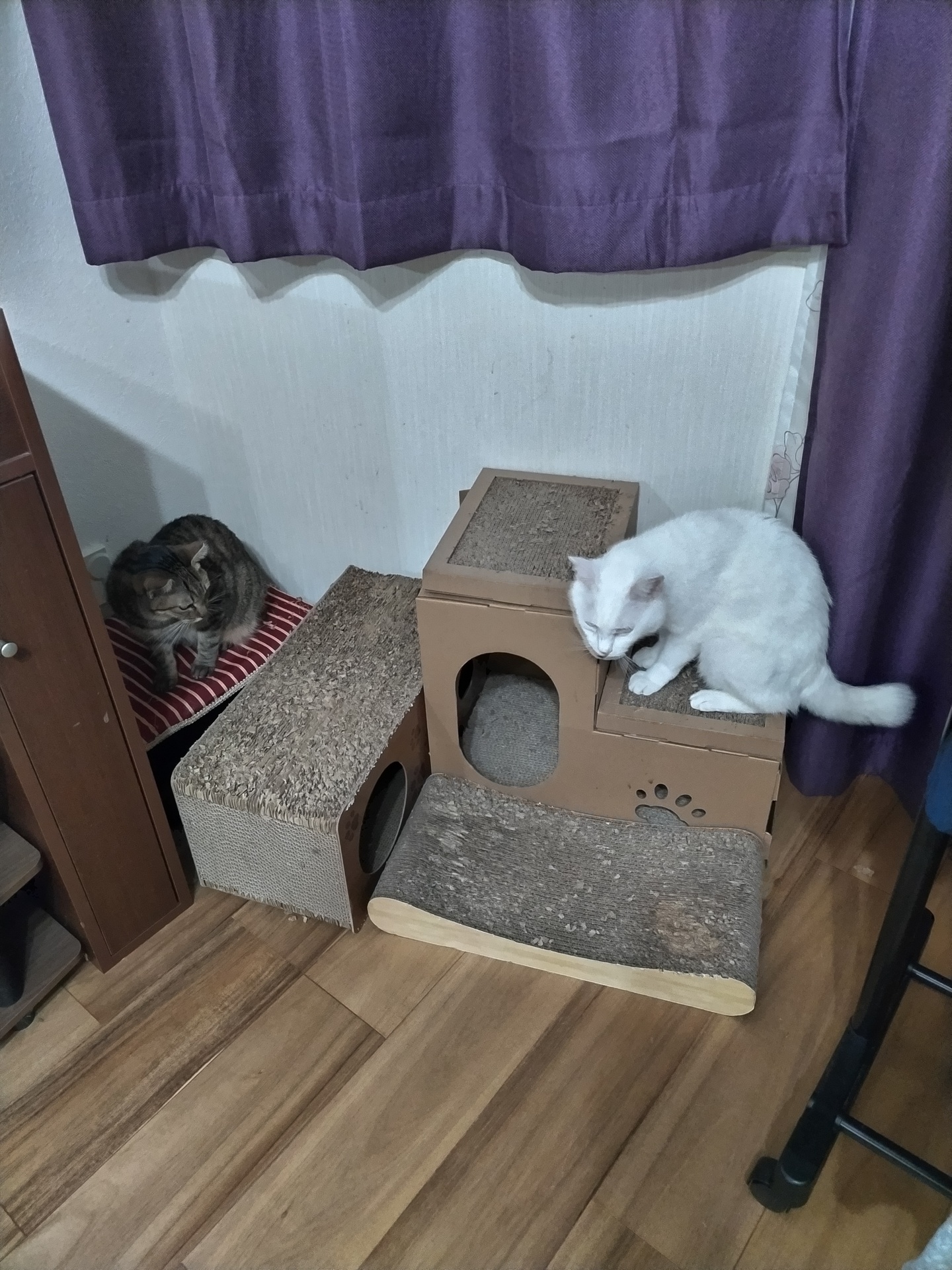 まだまだ残暑厳しい～～～！: サバブログ「ちろ＆あい」