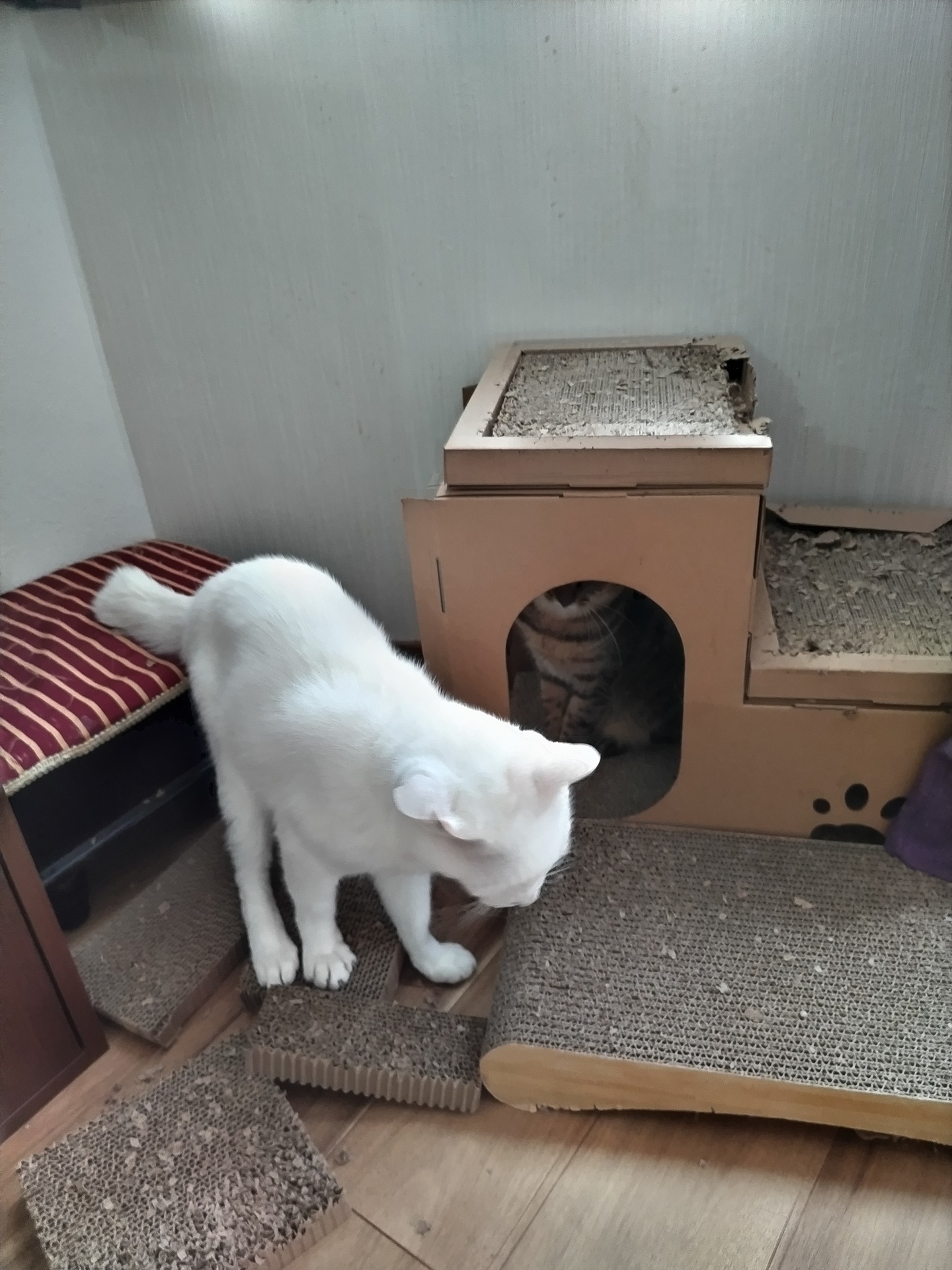 4月に入ってしまった～: サバブログ「ちろ＆あい」