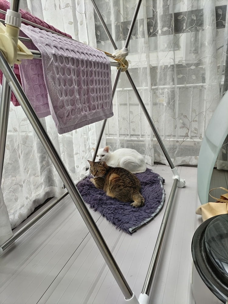 今週は・・・疲れた～～: サバブログ「ちろ＆あい」